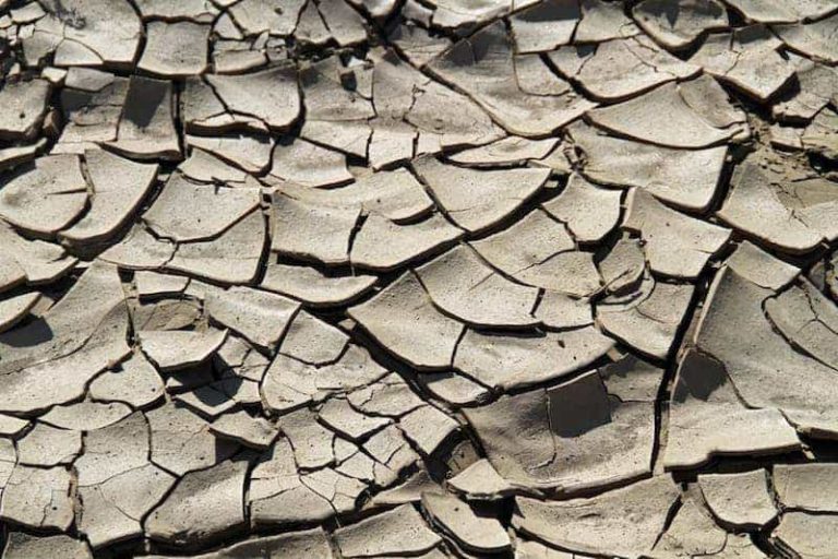 ? Effects Of Low Humidity On The Body • HumidityCheck.com