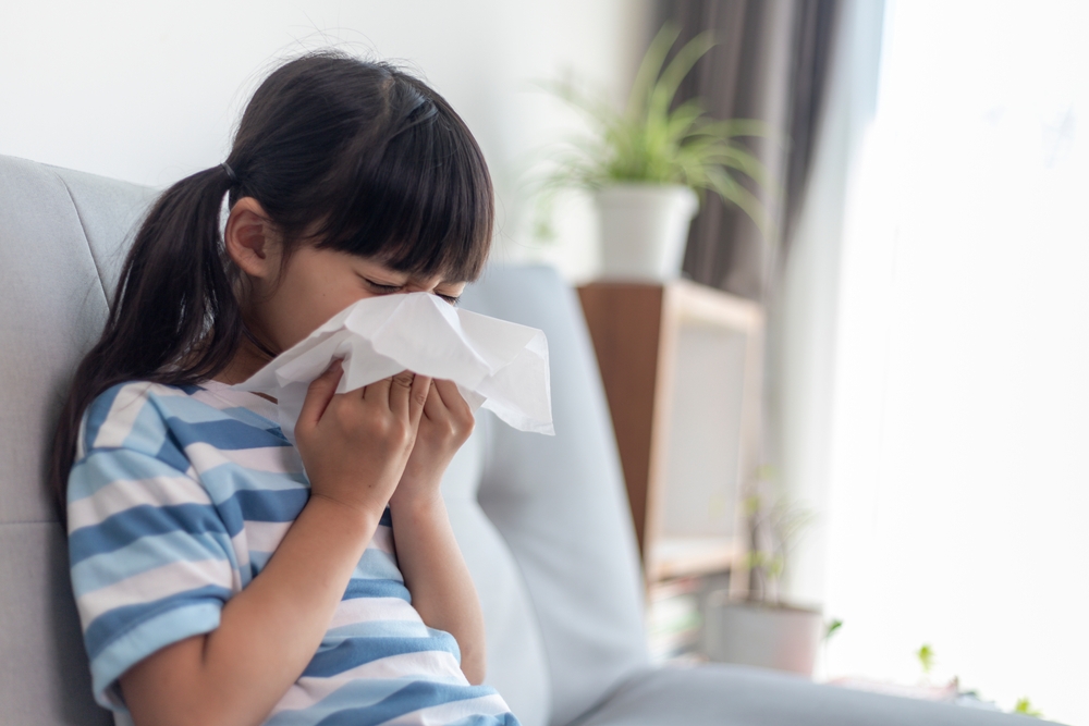 5 Ways to Get Rid of Dust Mites • HumidityCheck.com